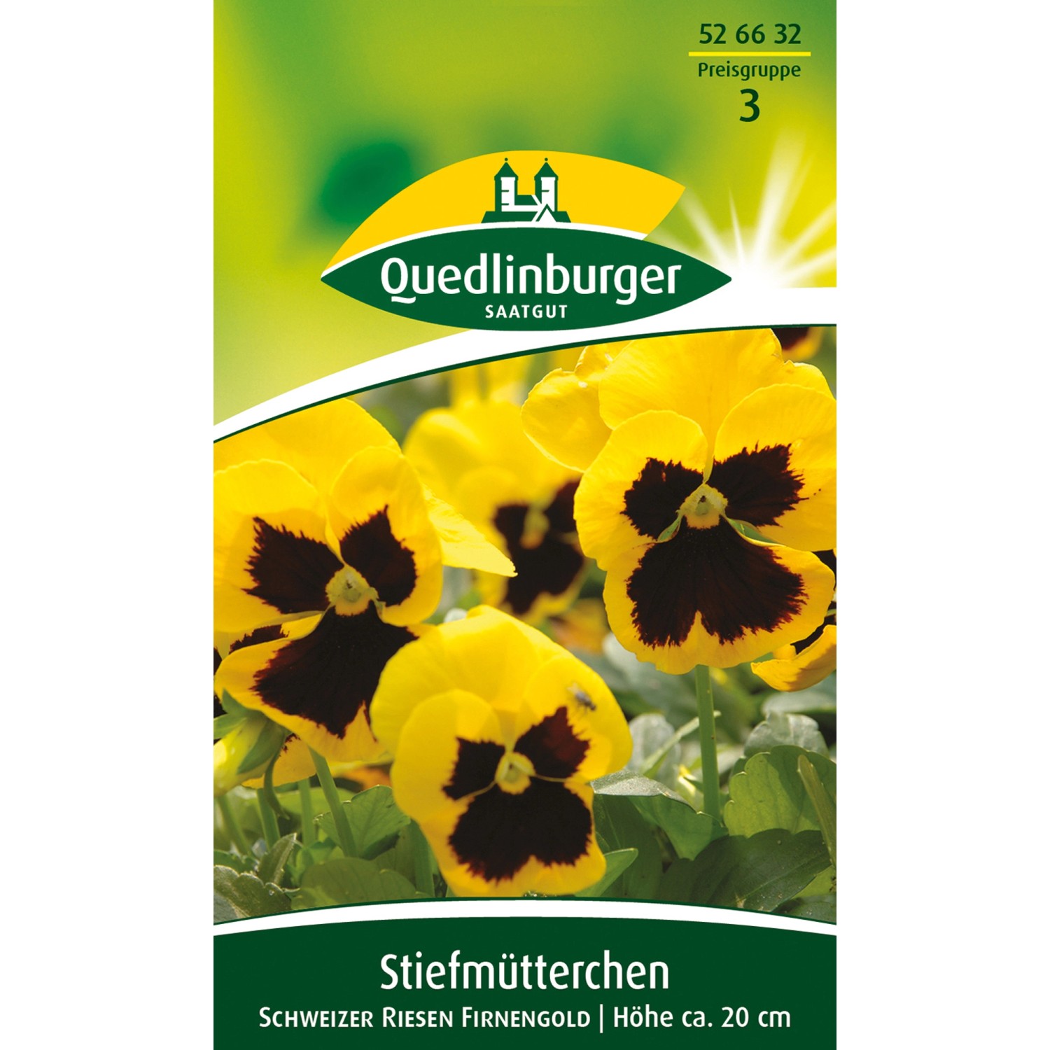 Quedlinburger Stiefmütterchen ''Schweizer Riesen Firnengold'' kaufen ...