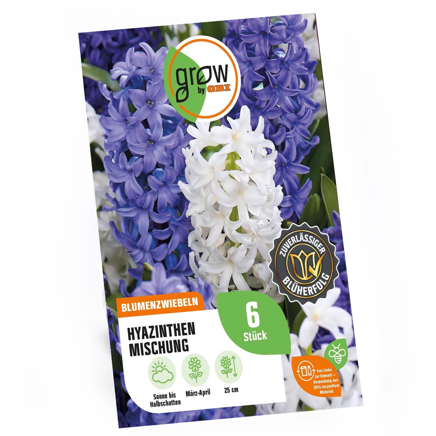 GROW by OBI Hyazinthen Mischung 6 Stück Hyacinthus Mix kaufen bei OBI
