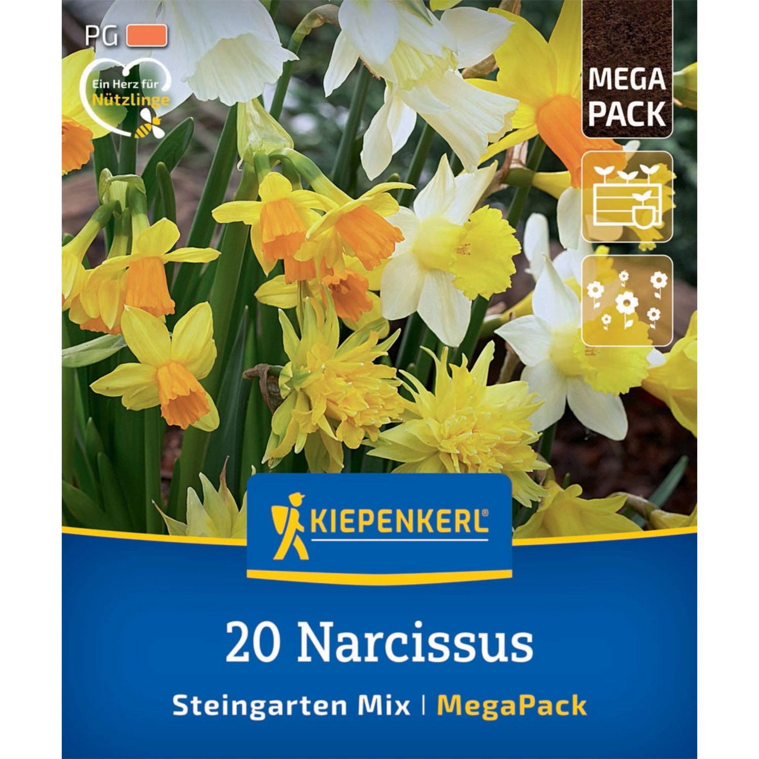 Kiepenkerl Blumenzwiebel Mega-Pack Steingartennarzissen Mischung 20 ...
