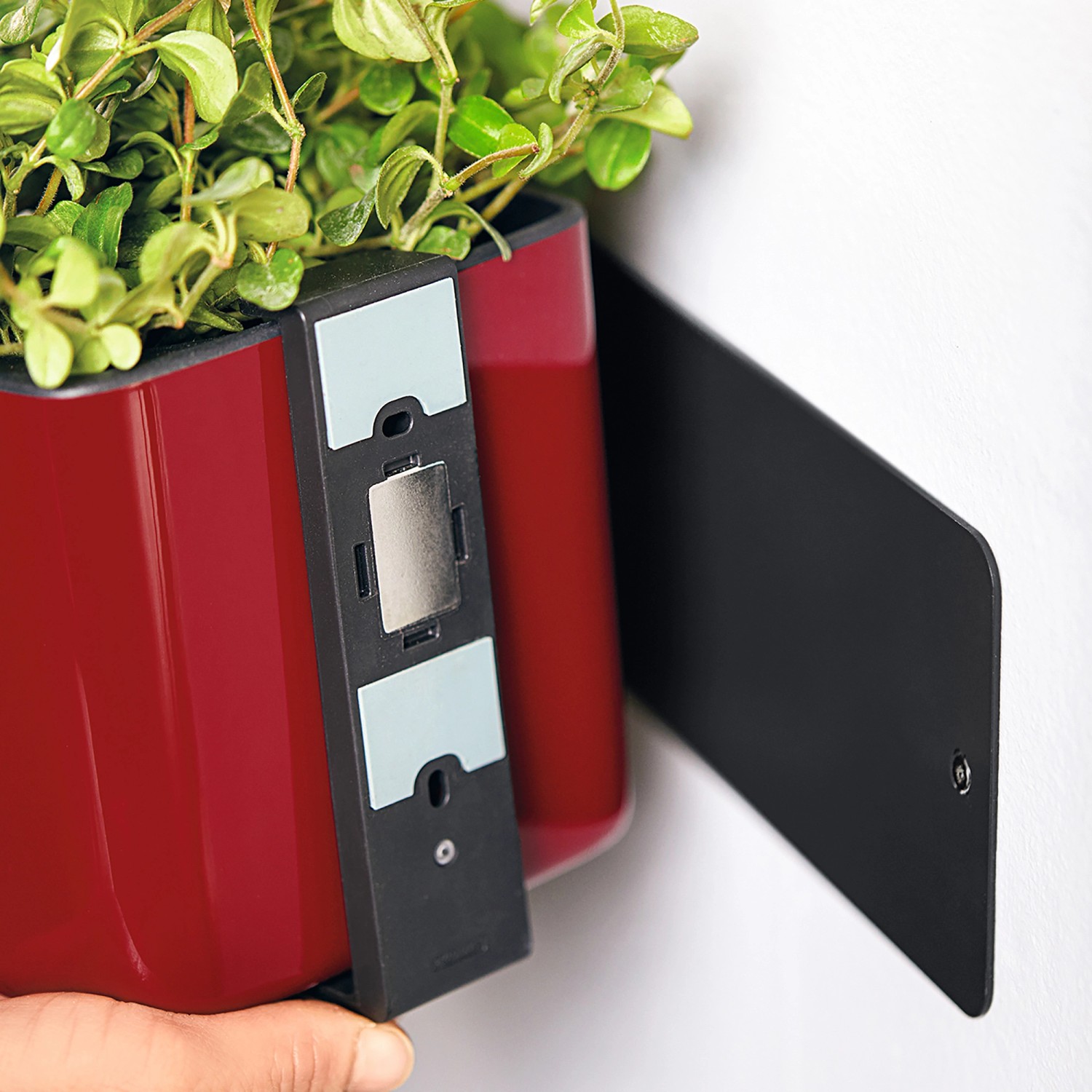 Lechuza Magnethalter Schwarz 4 cm x 6 cm x 14 cm kaufen bei OBI