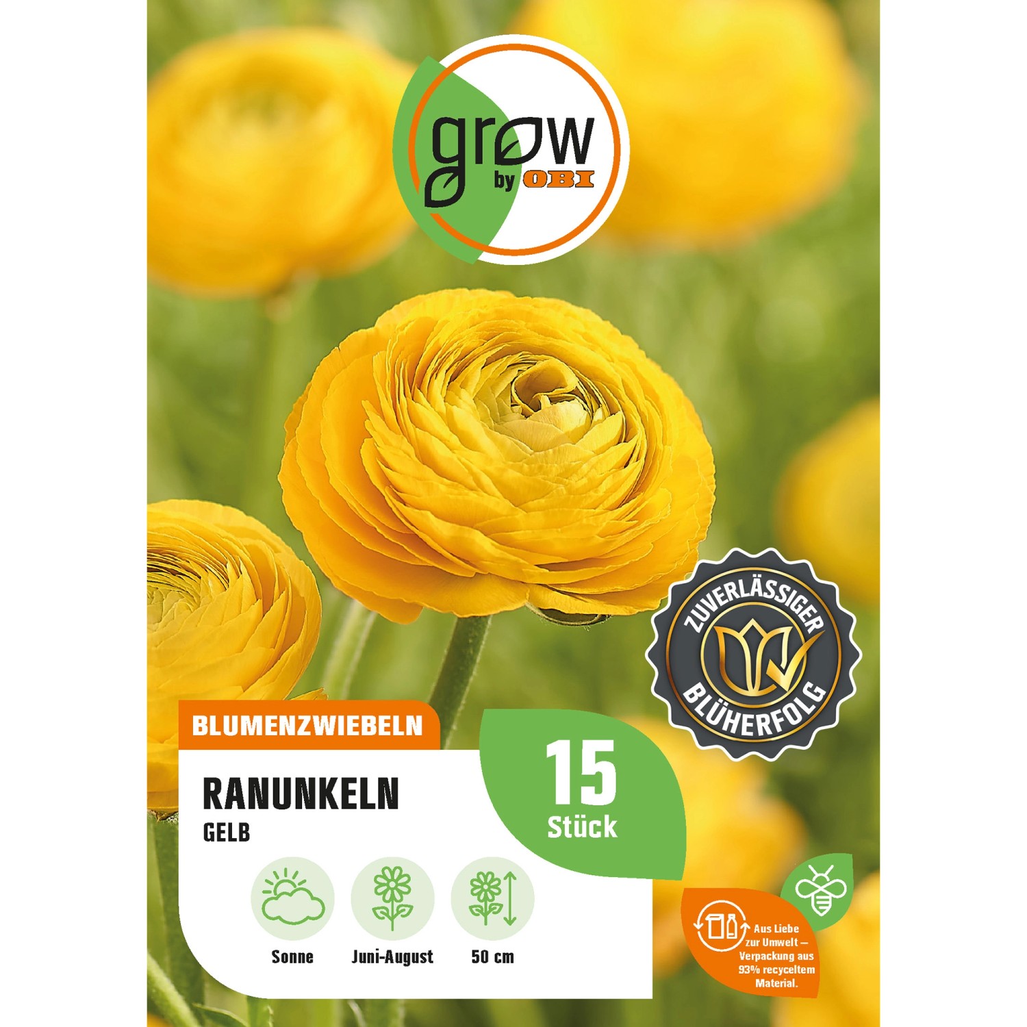 GROW by OBI Ranunkel "Asiatisch Gelb" Höhe ca. 50 cm Ranuculus ...