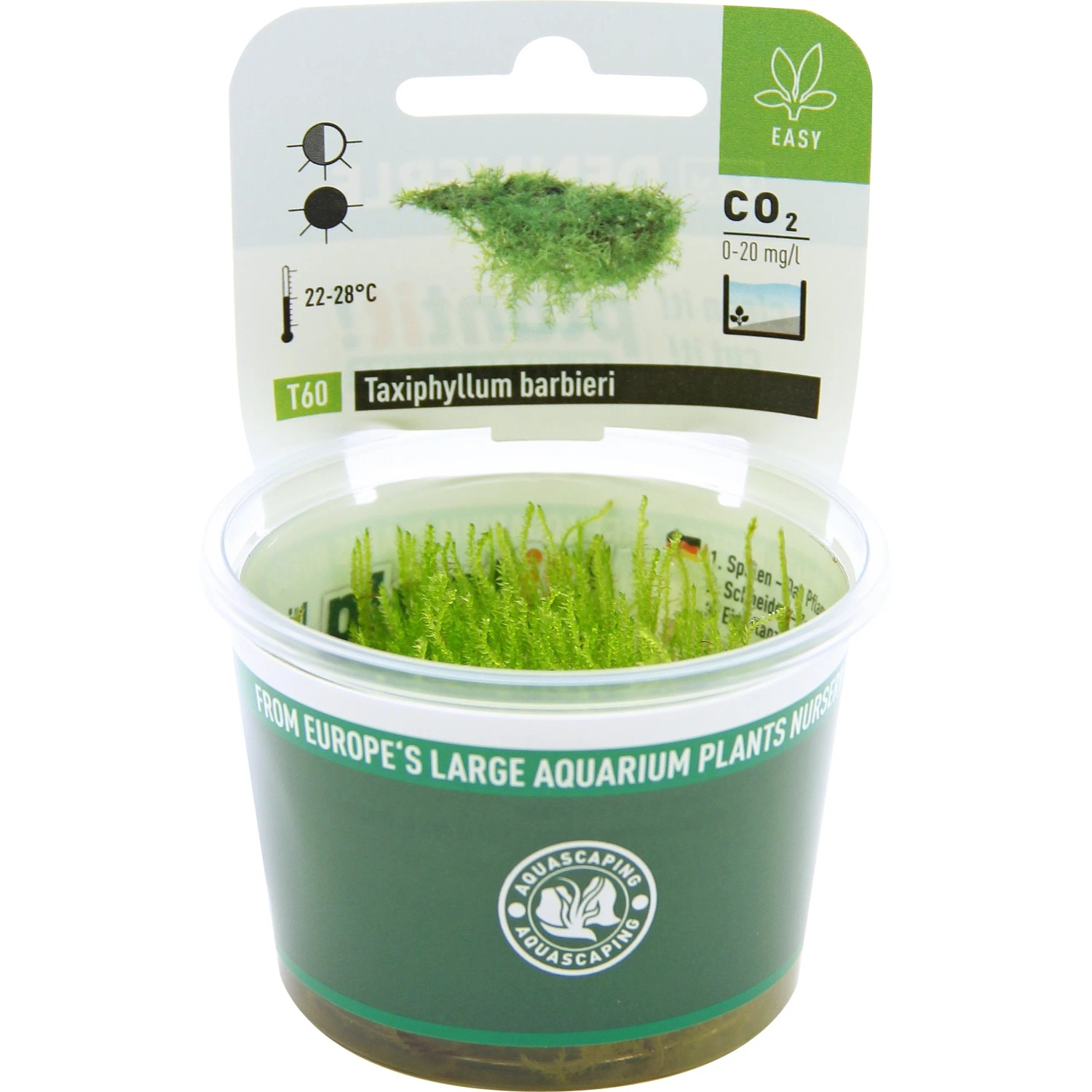 Dennerle Plants Aquariumpflanze Taxiphyllum Barbieri In-Vitro kaufen ...