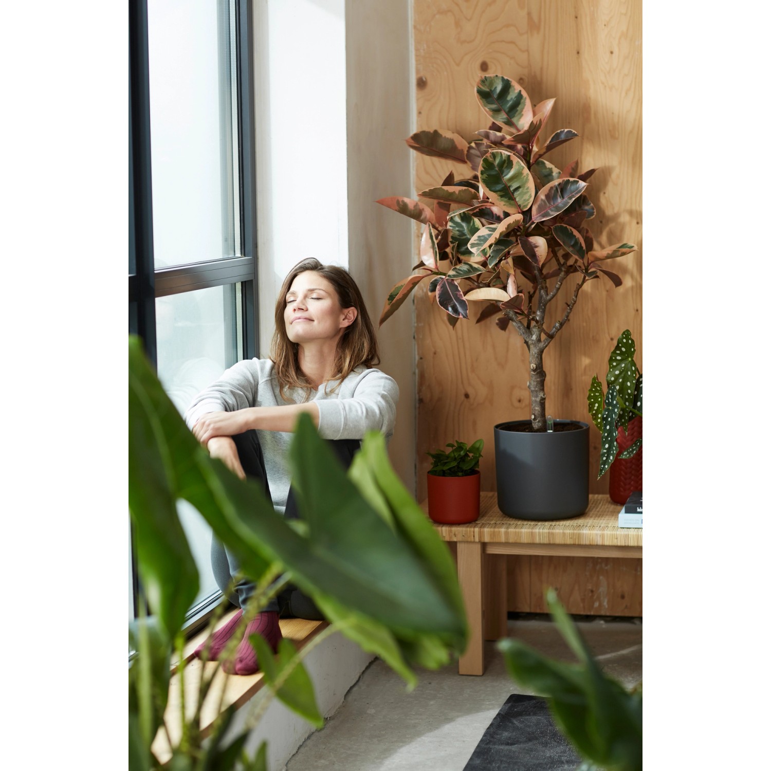 Elho Blumentopf B.For Soft Rund Ø 13,8 cm Anthrazit kaufen bei OBI