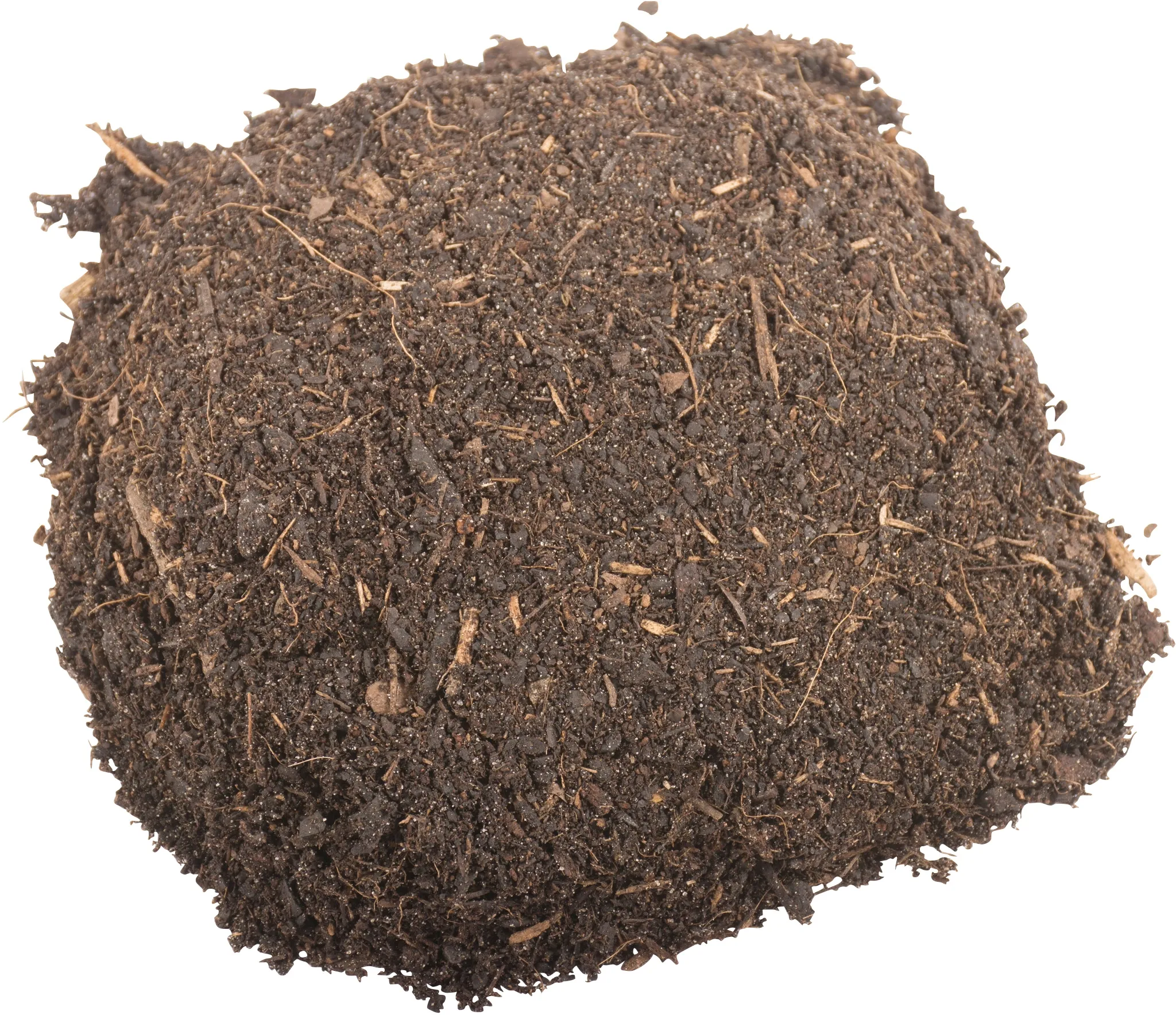 Compo Bio Universal-Erde torffrei 20 l kaufen bei OBI