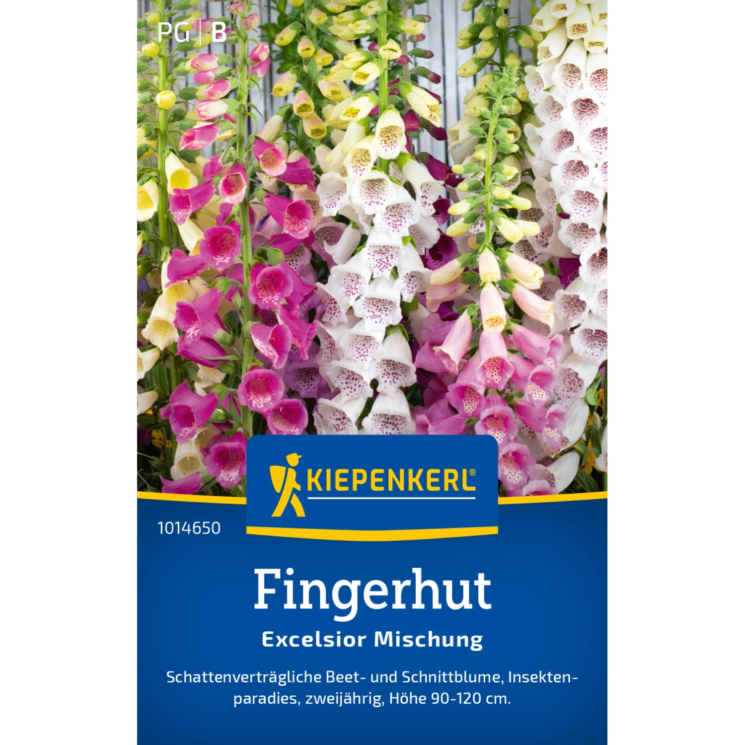 Fingerhut Winterhart kaufen bei OBI