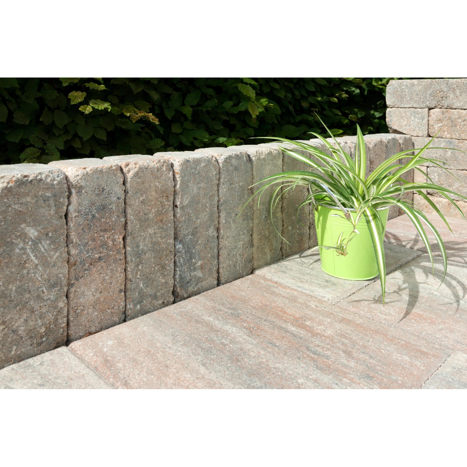 Diephaus Mauerstein Collo Muschelkalk 30 x 10 x 10 cm kaufen bei OBI