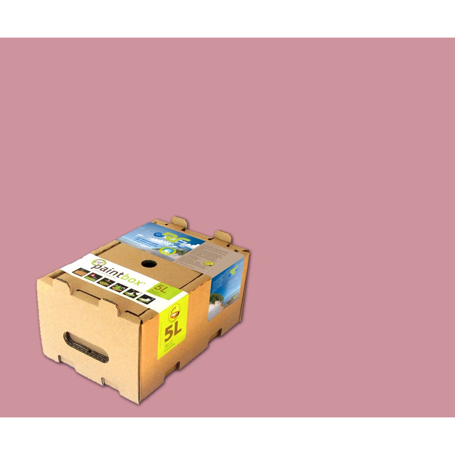 Paintbox Rügenfarben Wandfarbe Rügen-Flieder seidenmatt 5 l mit Rügener ...