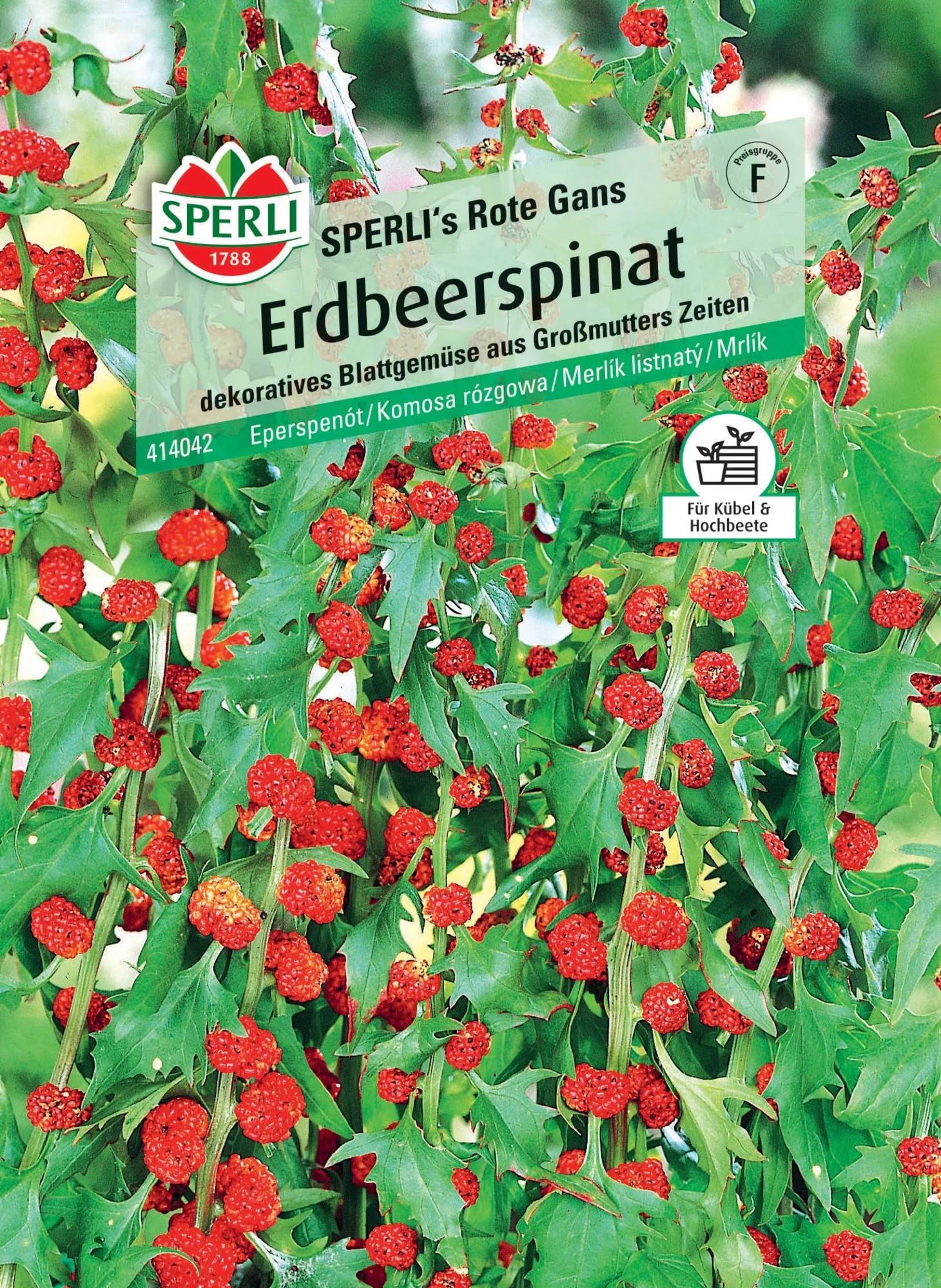 Sperli Erdbeerspinat "Sperli's Rote Gans" kaufen bei OBI
