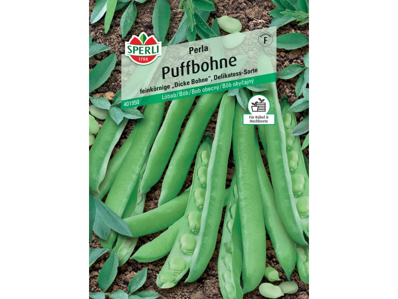 Sperli Puffbohne "Perla" kaufen bei OBI