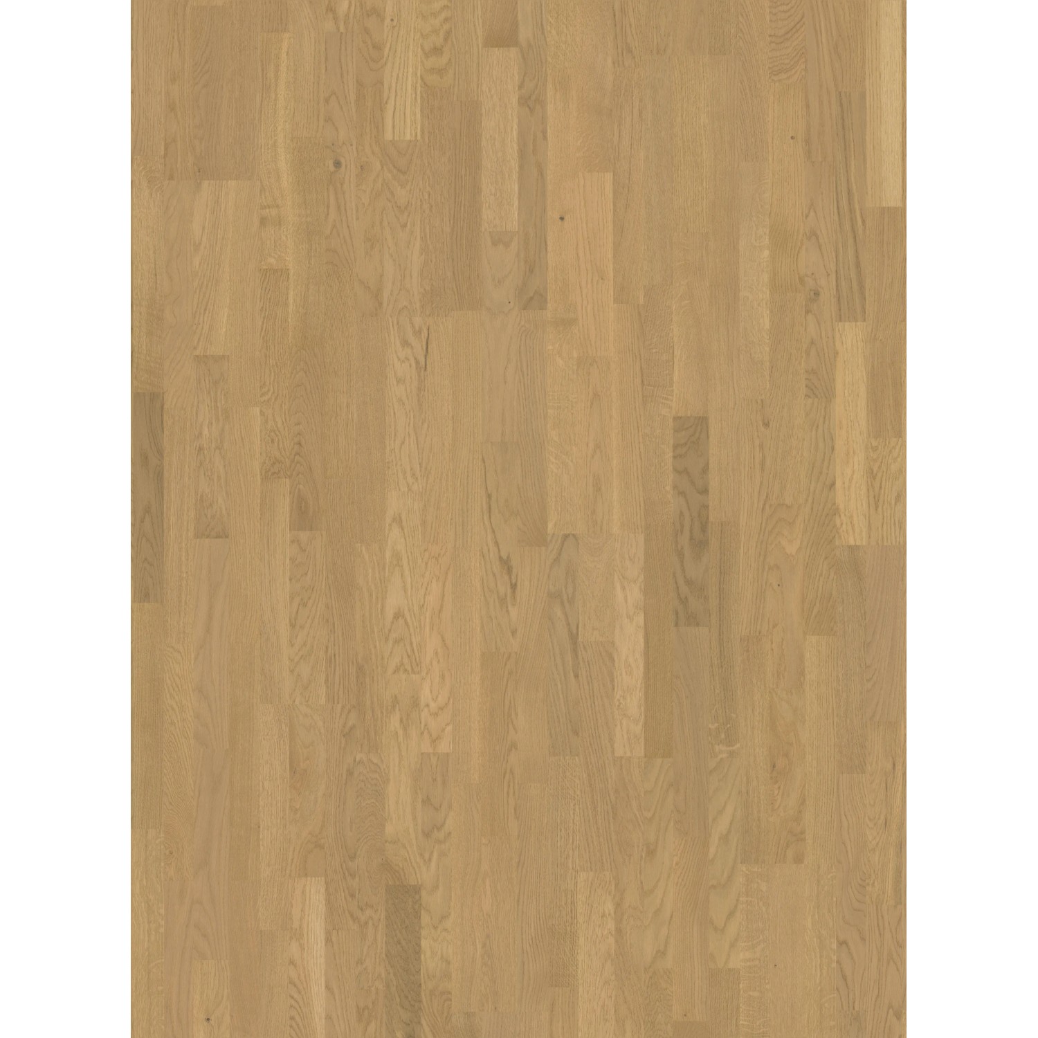 Parador Parkett Classic 3025 Rustikal 3-Stab Eiche Malbec Weiß Matt ...