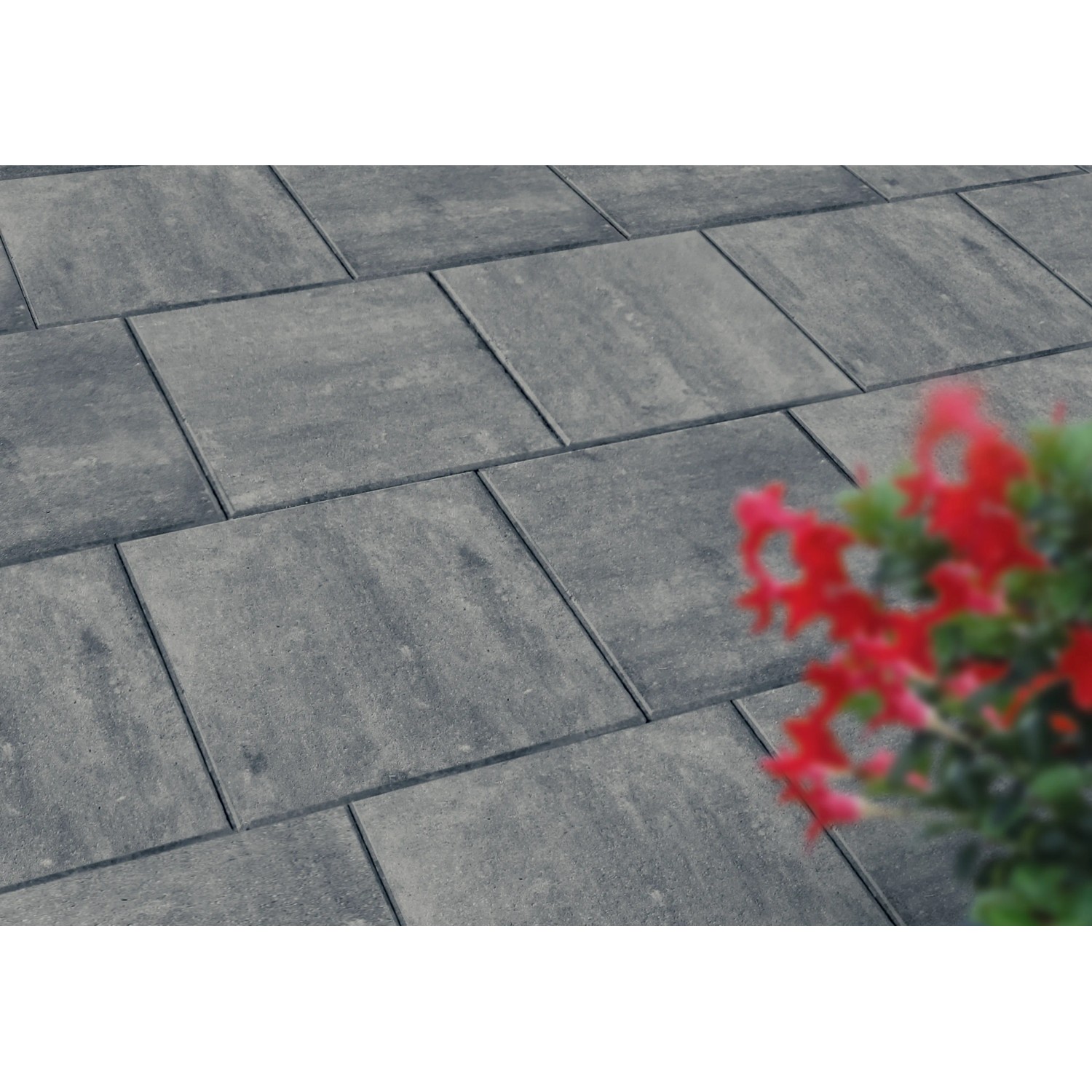 Diephaus Terrassenplatte Corso Quarzit 40 x 40 x 4 cm kaufen bei OBI