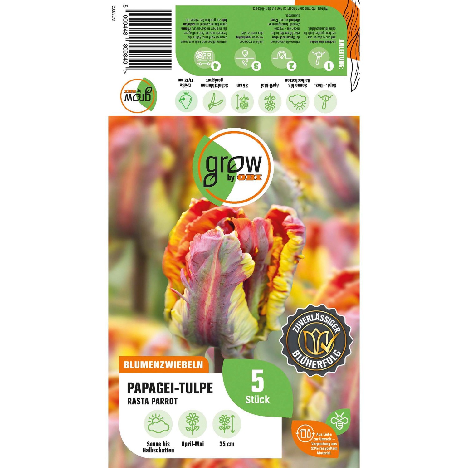 GROW by OBI Papagei-Tulpe Rasta Parrot Rot-Gelb 5 Stück Tulipa parrot ...