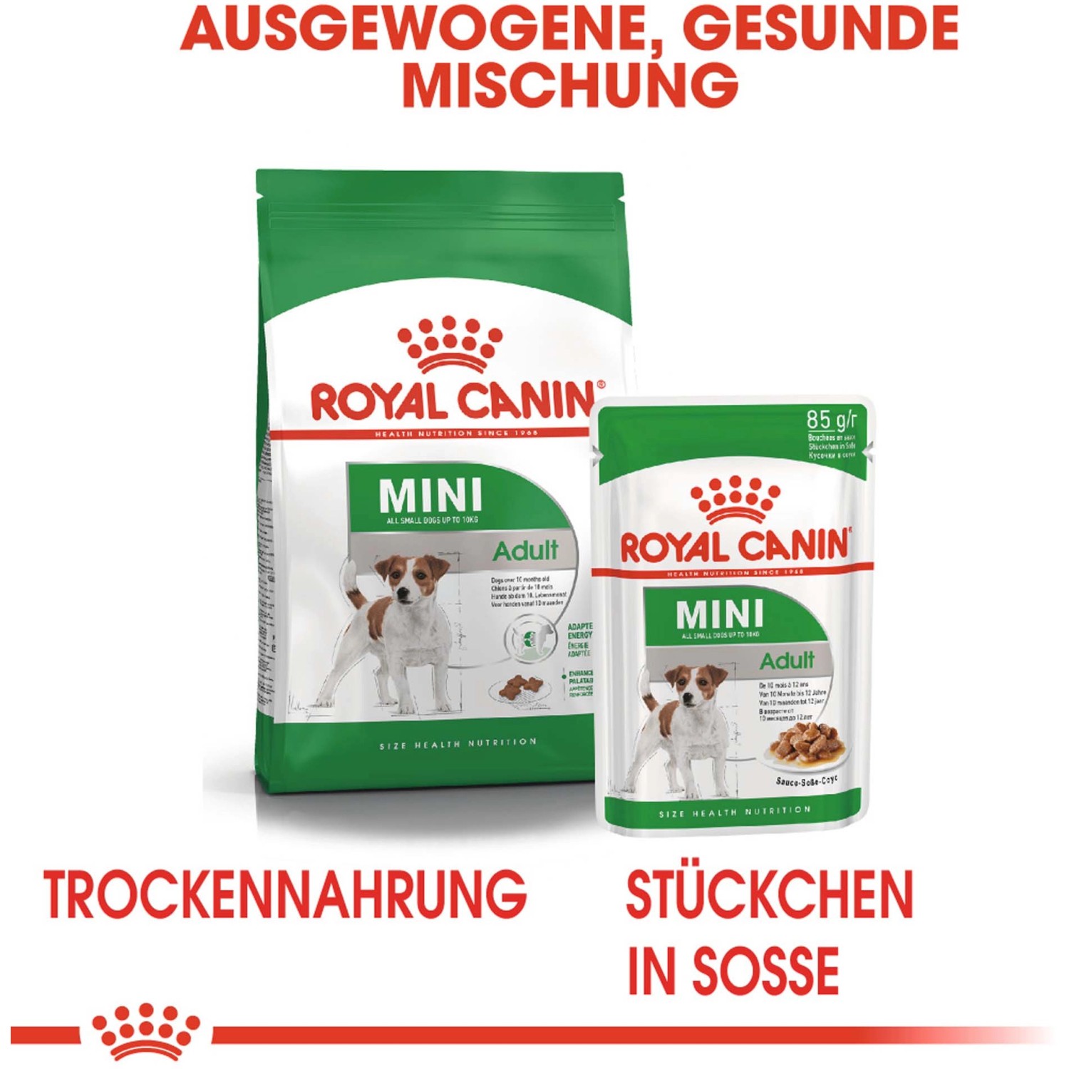 Royal Canin Mini Adult Trockenfutter für kleine Hunde 2 kg kaufen bei OBI