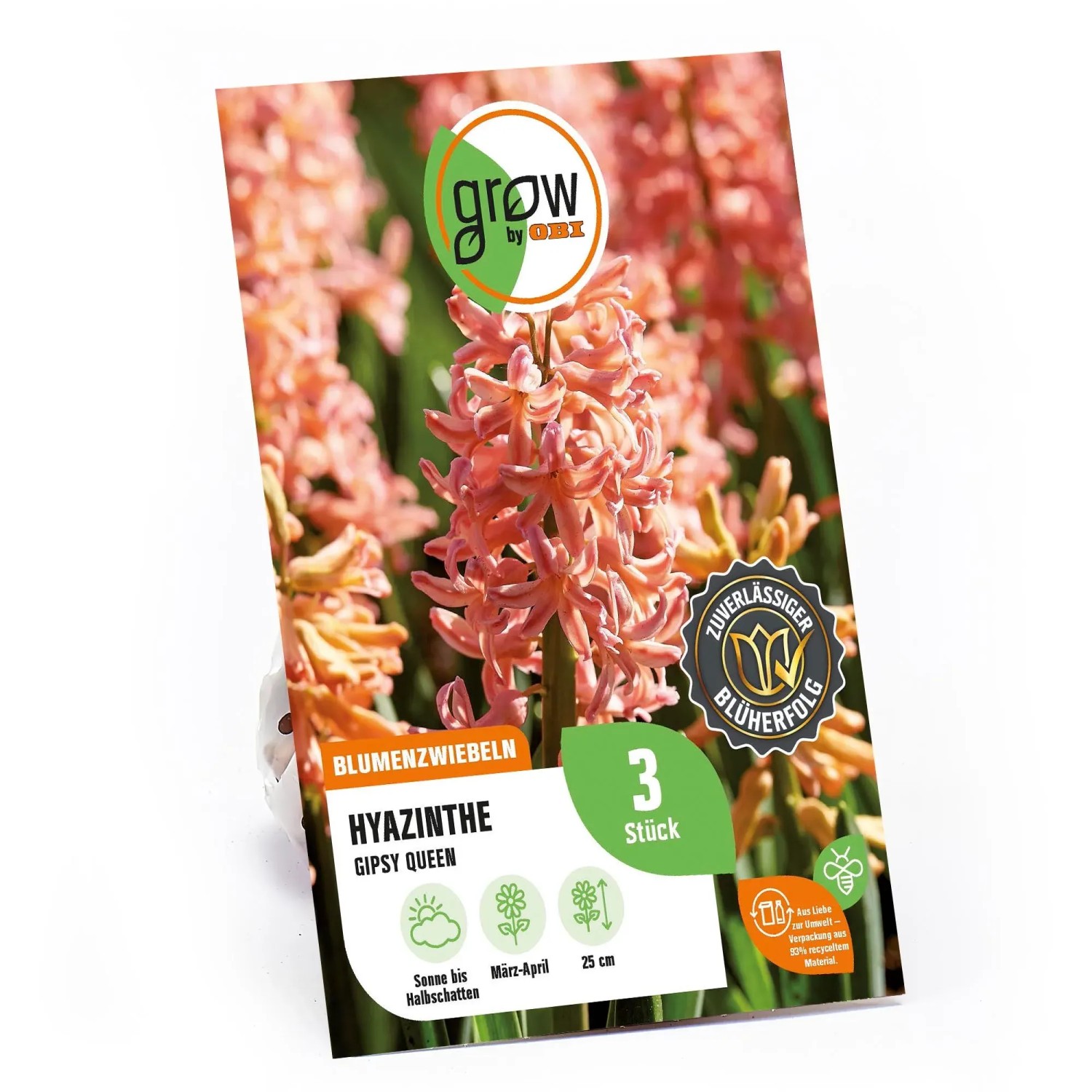 GROW by OBI Hyazinthe "Gipsy Queen" Orange 25 cm Hyacinthus orientalis kaufen bei OBI