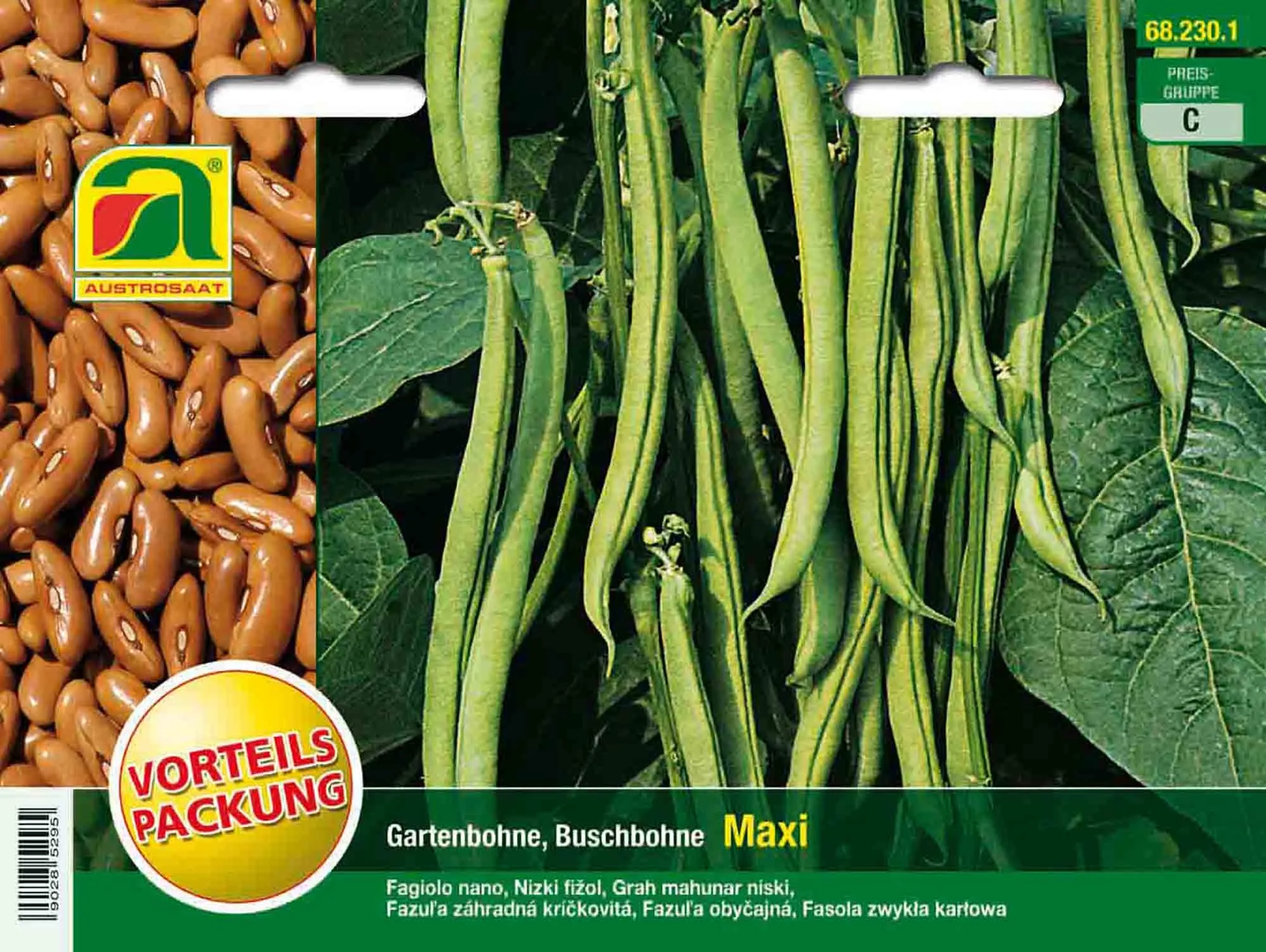 Austrosaat Saatgut Buschbohne "Maxi" Phaesolus vulgaris L. kaufen bei OBI
