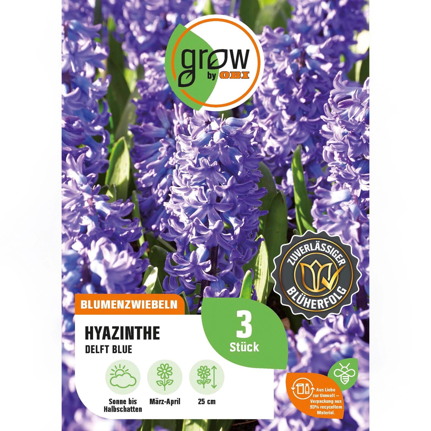 GROW by OBI Hyazinthe "Delft Blue" Blau 25 cm Hyacinthus orientalis kaufen bei OBI