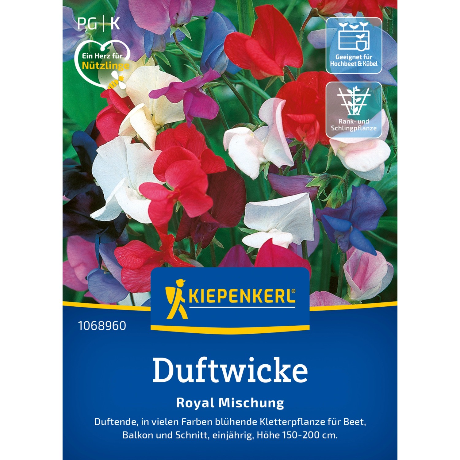 Kiepenkerl Duftwicke "Royal Mischung" Lathyrus odoratus kaufen bei OBI