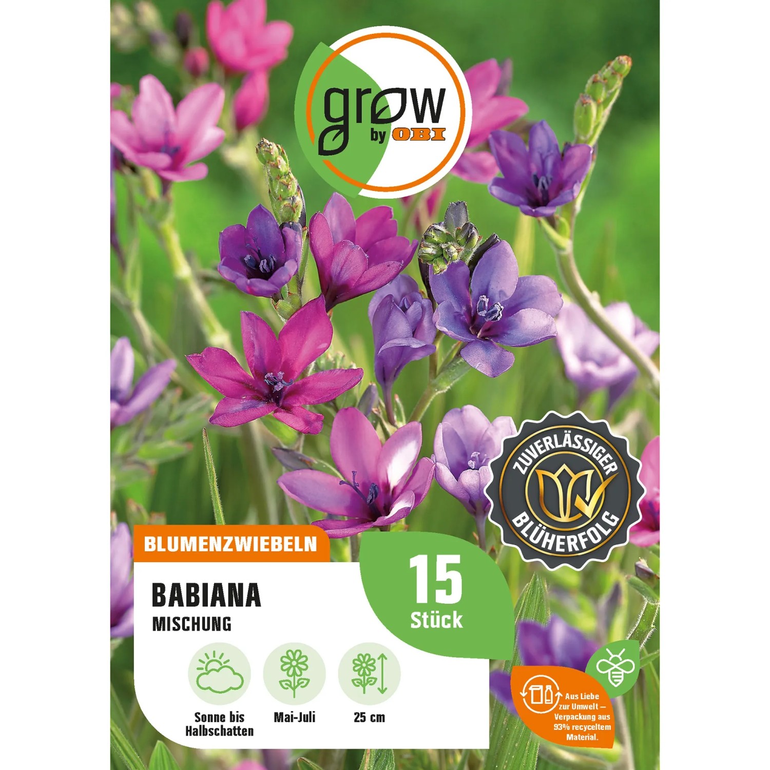 GROW by OBI Babiana Mischung Höhe ca. 25 cm Babiana stricta kaufen bei OBI