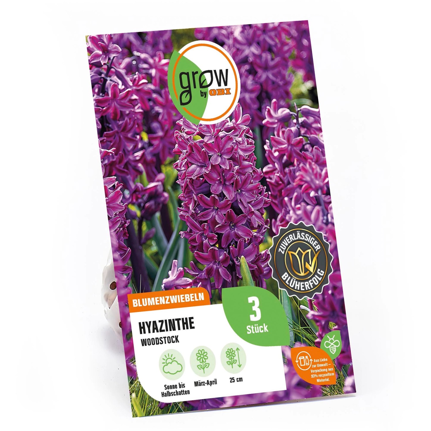 GROW by OBI Hyazinthe "Woodstock" Purpur 25 cm Hyacinthus orientalis kaufen bei OBI